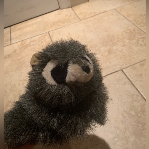 Folkmanis Puppets | Toys | Folkmanis Baby Raccoon Puppet | Poshmark